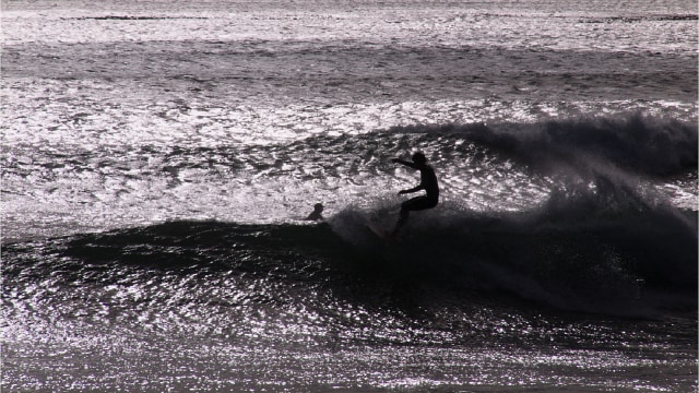 Nick Gabaldon, Peselancar Amerika-Afrika Pertama di California ...