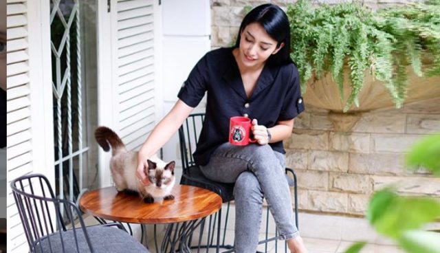 7 Selebritis Tanah Air Pecinta Kucing | kumparan.com