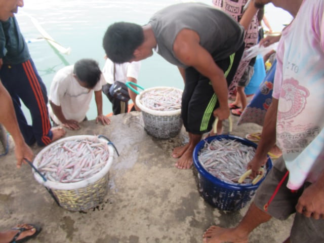 Wajah Perikanan Bagan Perahu Kepulauan Selayar | kumparan.com
