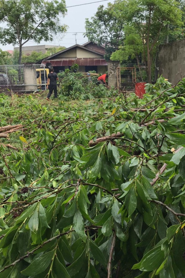 Kisah Dosen di Aceh: Antisipasi Krisis Pangan Akibat Pandemi dengan ...