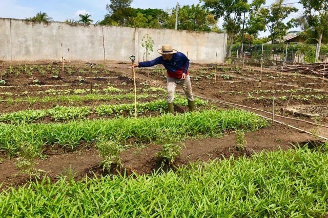 Kisah Dosen di Aceh: Antisipasi Krisis Pangan Akibat Pandemi dengan ...