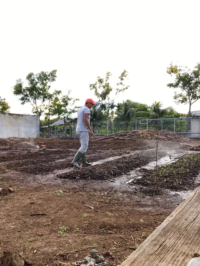 Kisah Dosen di Aceh: Antisipasi Krisis Pangan Akibat Pandemi dengan ...