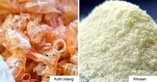 The Magic of Nature - kumparan.com