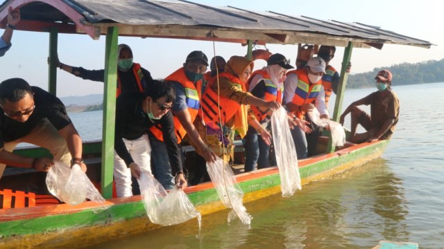 Bupati Bojonegoro Tabur 25 Ribu Benih Ikan di Waduk Pacal | kumparan.com