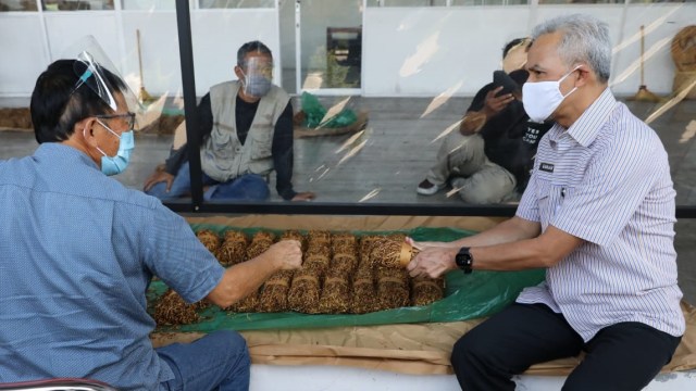 Ganjar Pastikan Tembakau Petani di Temanggung Dibeli Pabrik Rokok Besar | kumparan.com