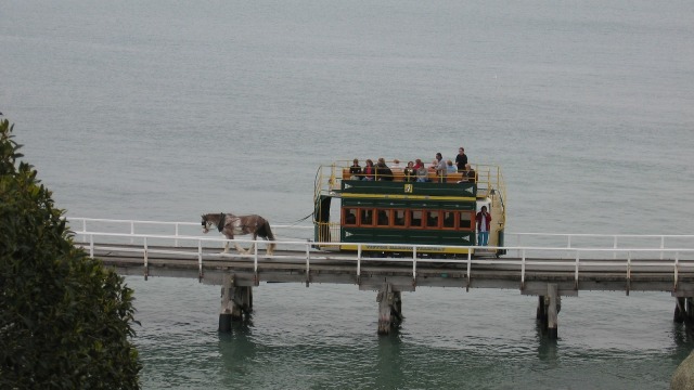 Trem yang Ditarik oleh Kuda dan Sejarahnya di Pelabuhan Victor ...