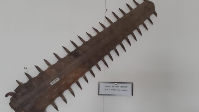 Arkeolog Papua Temukan Motif Putri Duyung pada Tiang Rumah Adat Sentani ...