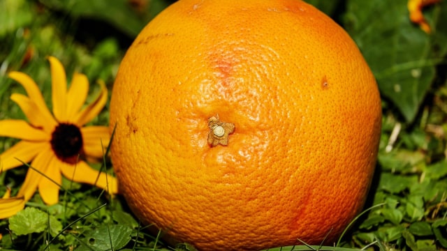 Sejarah, Manfaat, dan Bahaya, dari Limau Gedang | kumparan.com