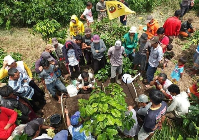 Serikat Petani Indonesia Dorong Petani Milenial Jadi Entrepreneur ...