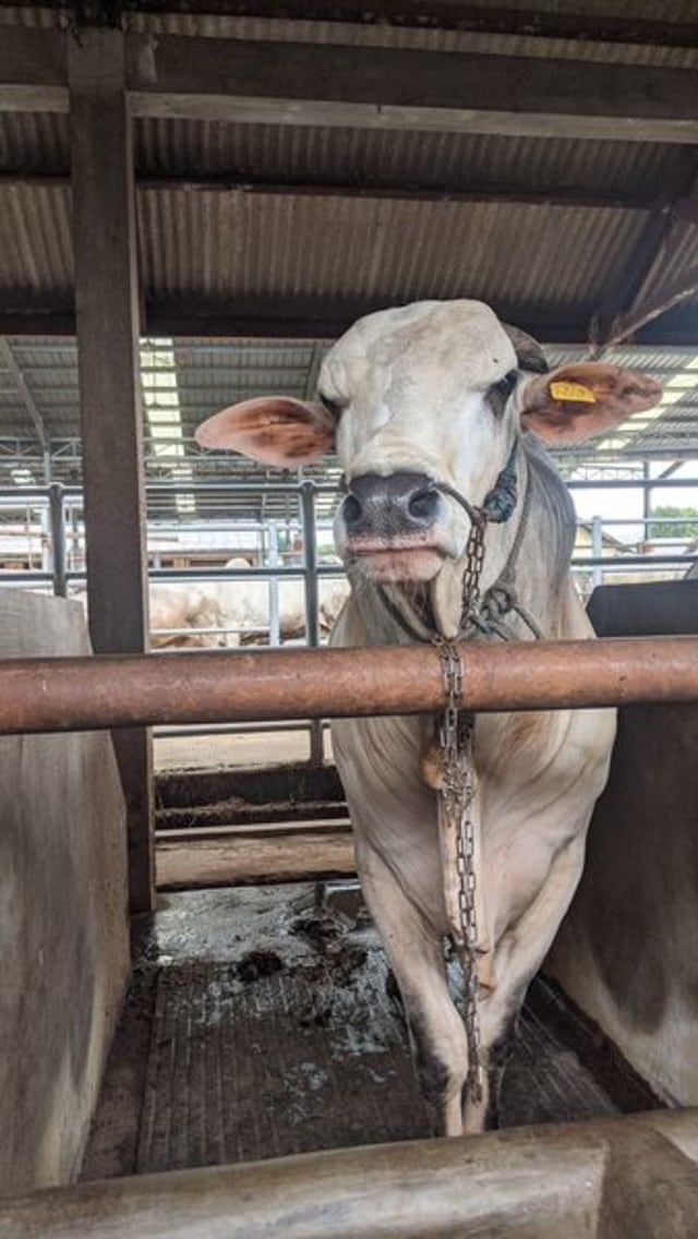 Kita Hidup Berdampingan dengan Hasil Riset Kementerian Pertanian ...