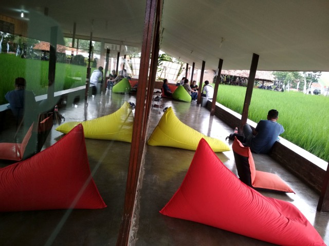 Kafe di Cirebon Suguhkan Sensasi Ngopi di Tengah Sawah, Yuk Dicoba ...