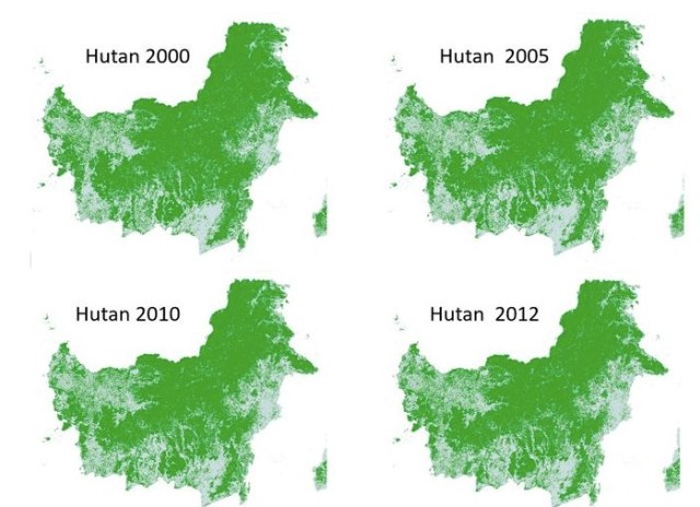Menyoal Foto Deforestasi Hutan Kalimantan | kumparan.com