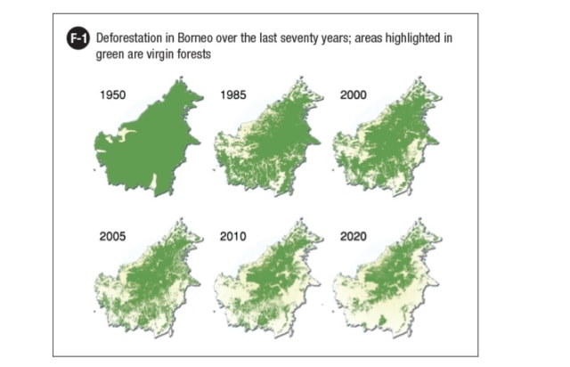 Menyoal Foto Deforestasi Hutan Kalimantan | kumparan.com