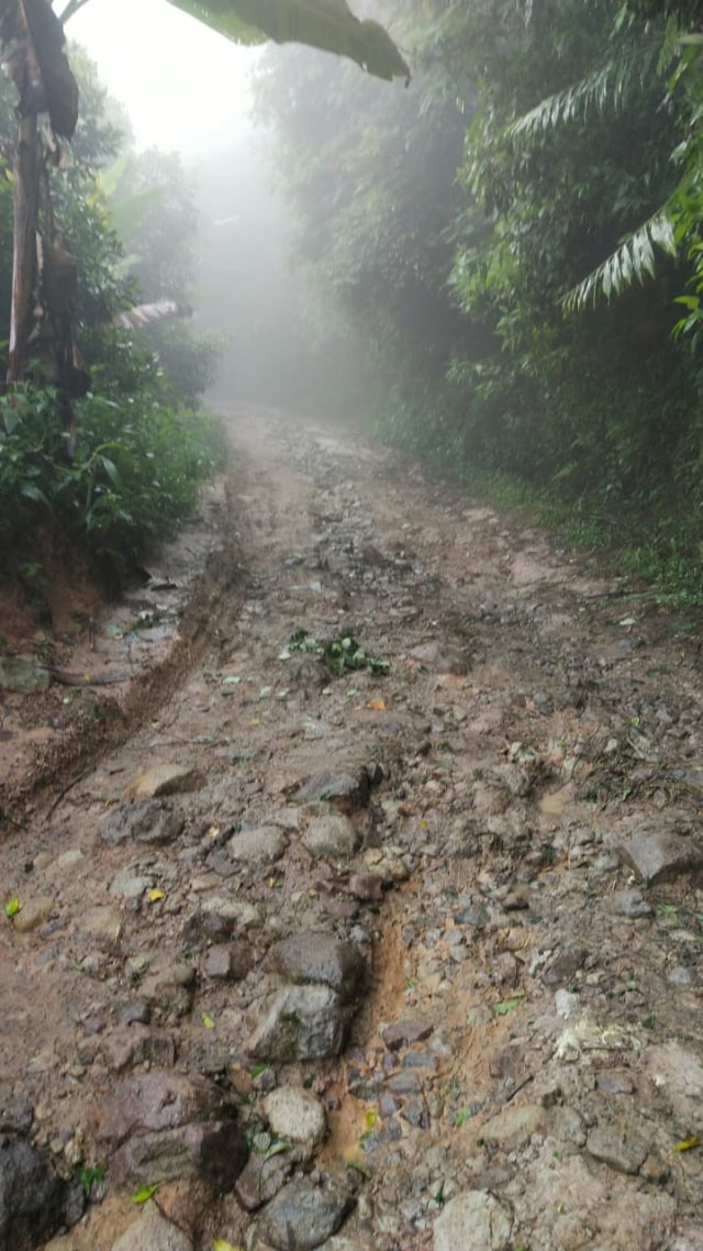 Hiking Tipis-tipis ke Desa Berselimut Kabut di Cisadon via Sentul ...