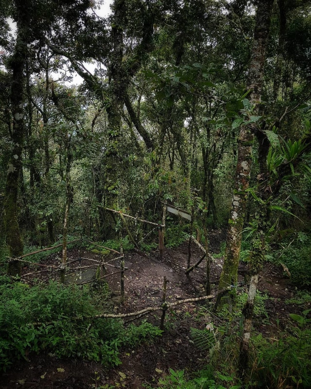Legenda Batu Lingga Gunung Ciremai yang Sempat Disinggahi Sunan Gunung ...