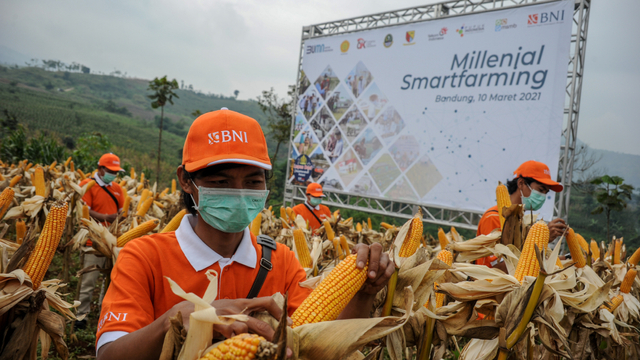Millenial Smartfarming, Upaya BNI Kawal Pertanian Masa Depan | kumparan.com