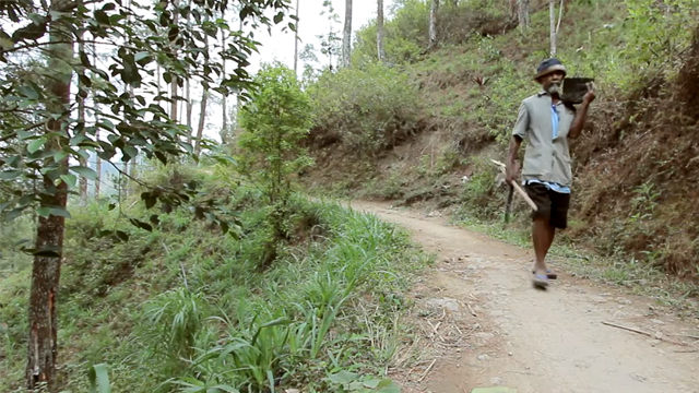 Kisah Mbah Sadiman, Seorang Diri 24 Tahun Ubah Bukit Gersang Jadi Hutan ...