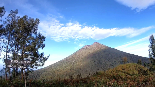 Tantangan Mendaki Puncak Lembah Gedong: 1 dari 7 Puncak Tertinggi ...