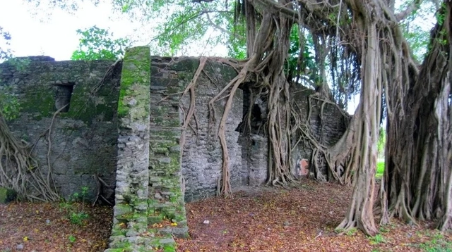 Wisata Pantai Suai Loro Timor-Leste | kumparan.com