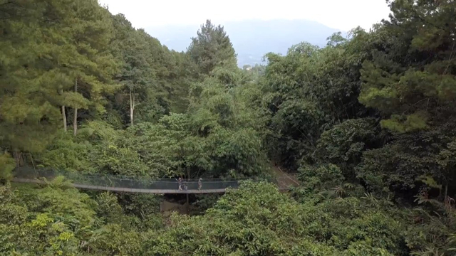 Mengintip Pusat Suaka Satwa Elang Jawa Loji dengan Wajah Barunya ...