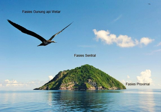 Fakta Ketinggian Gunung Api Wetar 5.000 Meter: Gunung Api Tertinggi di ...