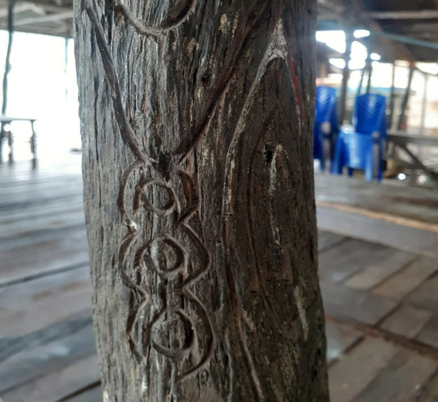 Kayu Soang yang Erat dengan Kehidupan Masyarakat Adat Sentani Jayapura ...