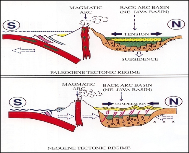 Fisiografi Cekungan Jawa Timur Utara, Cekungan Penghasil Hidrokarbon ...
