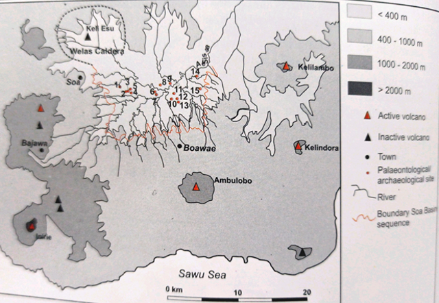 Apakah Gunung Api Penyebab Stegodon Punah di Provinsi Nusa Tenggara ...