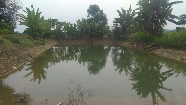 Embung Sukses Tingkatkan Indeks Pertanaman Petani Lamongan | kumparan.com