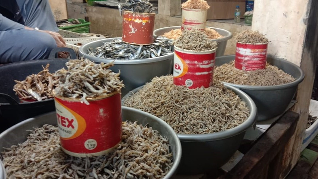 Berburu Ikan Penja, Ikan Seribu Khas Sulbar dan Pesisir Palu | kumparan.com