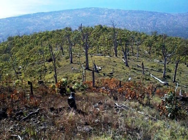 Fakta Menarik Gunung Ili Boleng dan Keindahan Alam Pulau Adonara ...