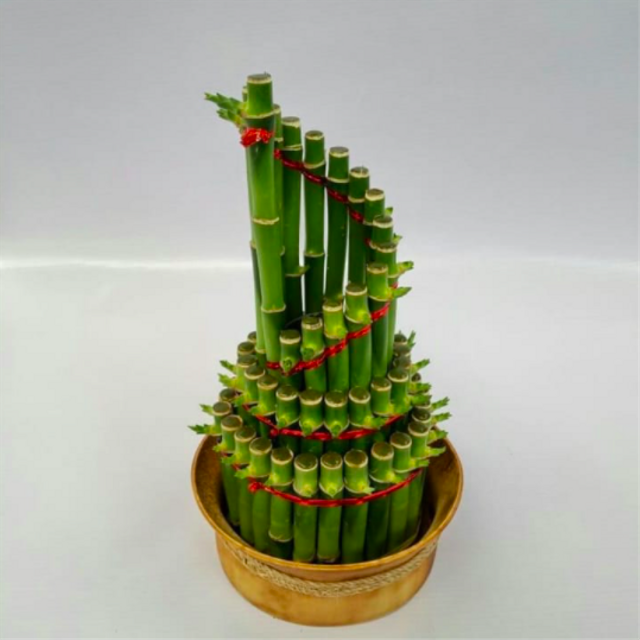 Permintaan Ekspor Melesat, Indonesia Butuh Pusat Budidaya Tanaman Hias ...