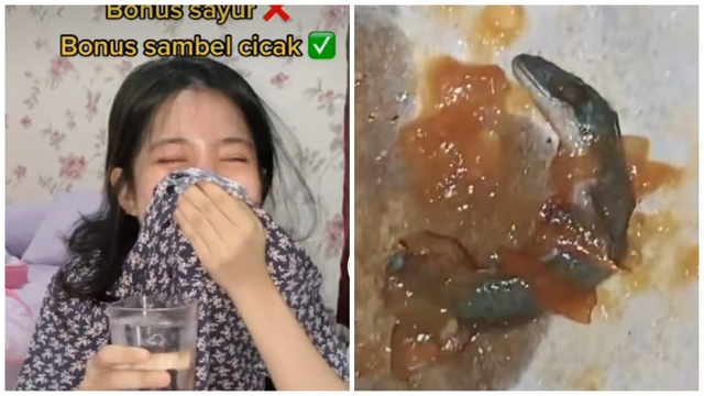 Bikin Mual, Wanita Ini Temukan Cicak Mati di Sambal saat Makan Pecel Ayam | kumparan.com