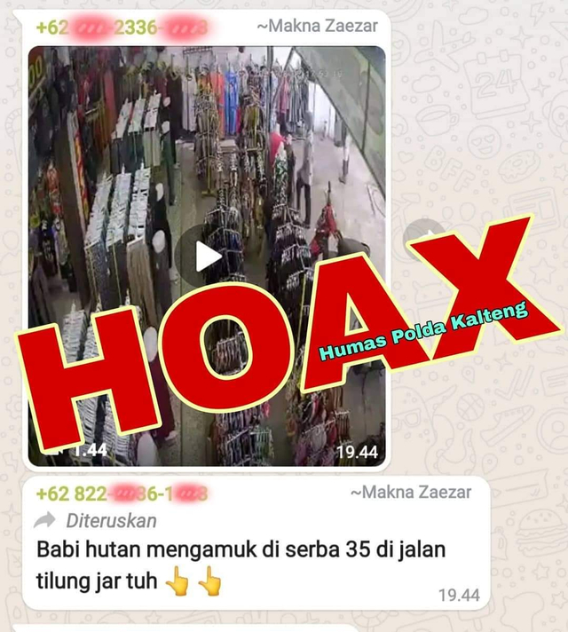 Hoaxbuster: Babi Hutan Masuk dan Mengamuk di Toko Baju Palangka Raya ... Hoaxbuster: Babi Hutan Masuk dan Mengamuk di Toko Baju Palangka Raya ...