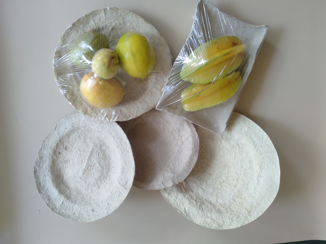 Biofoam Menjadi Kemasan Ramah Lingkungan | kumparan.com