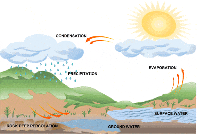 Proses Terjadinya Hujan, Mulai dari Evaporasi hingga Infiltrasi ...