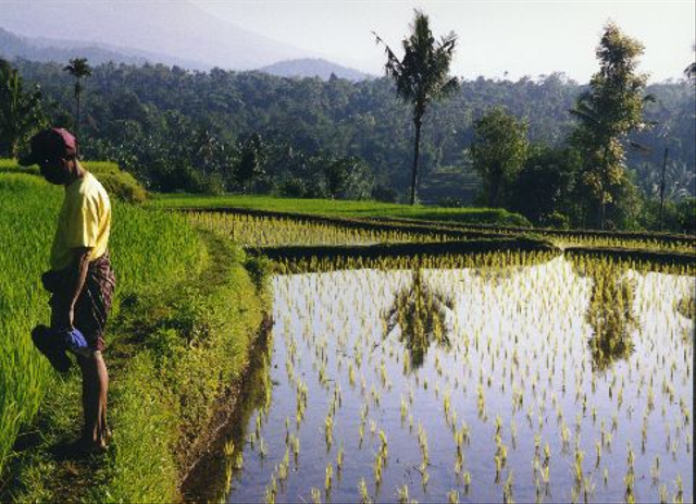Desa Tete Batu NTB Masuk Nominasi Desa Wisata Terbaik di Dunia Versi ...