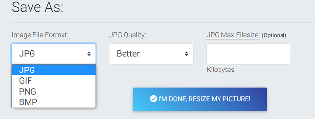 Cara Ubah Ukuran Foto 2x3 Online di Aplikasi dan Situs | kumparan.com