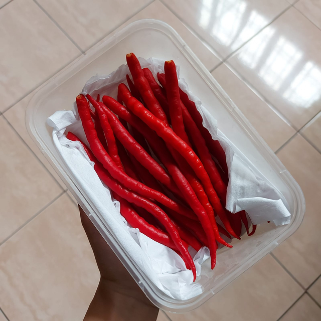 Harga Cabai Naik, Ini 5 Tips Menyimpan Cabai agar Segar dan Tahan Lama ...