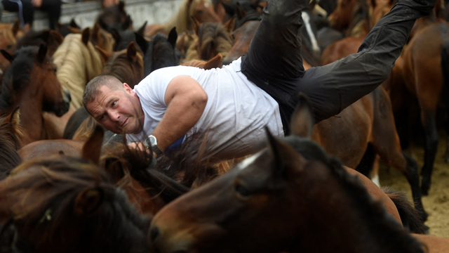 Foto: Tradisi Potong Rambut Kuda Liar di Spanyol | kumparan.com