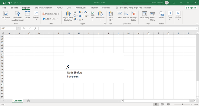 Cara Membuat Tanda Tangan di Excel untuk Pemula | kumparan.com