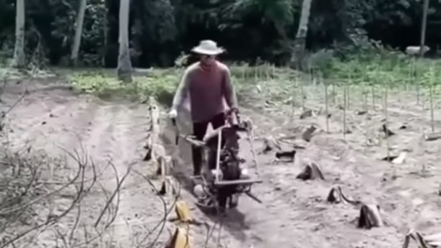 Kreatif, Petani Ini Modifikasi Motor Bebek Bekas Jadi Alat Pembajak ...