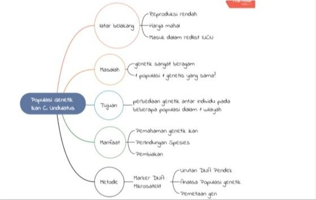 5 Contoh Peta Pikiran dan Langkah Membuatnya | kumparan.com
