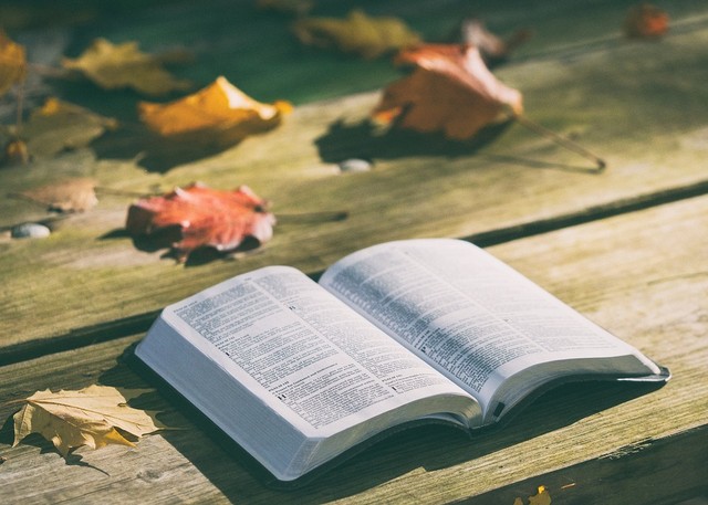 Bunyi Amsal 1 Ayat 7 dan Maknanya bagi Umat Kristen | kumparan.com