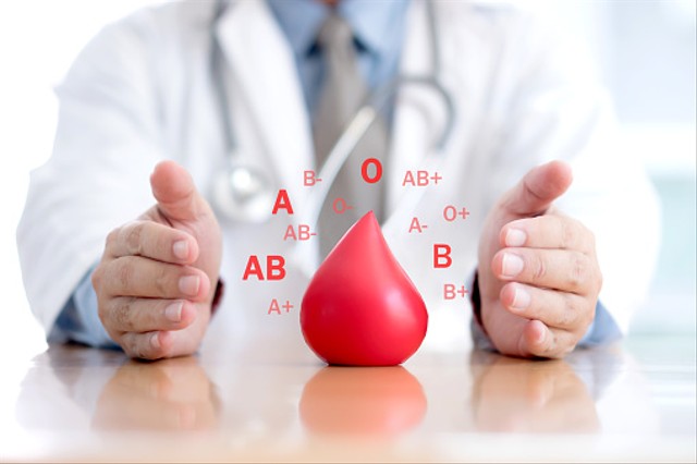 Mengenal 4 Komponen Sel Darah Merah dan Fungsinya Masing-masing ...