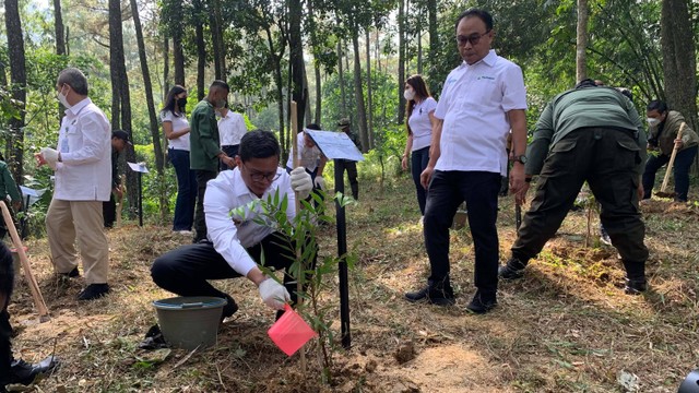 Pertamina dan Perhutani Sinergi Wujudkan Net Zero Emisi, Ini yang Mau ... Pertamina dan Perhutani Sinergi Wujudkan Net Zero Emisi, Ini yang Mau ...