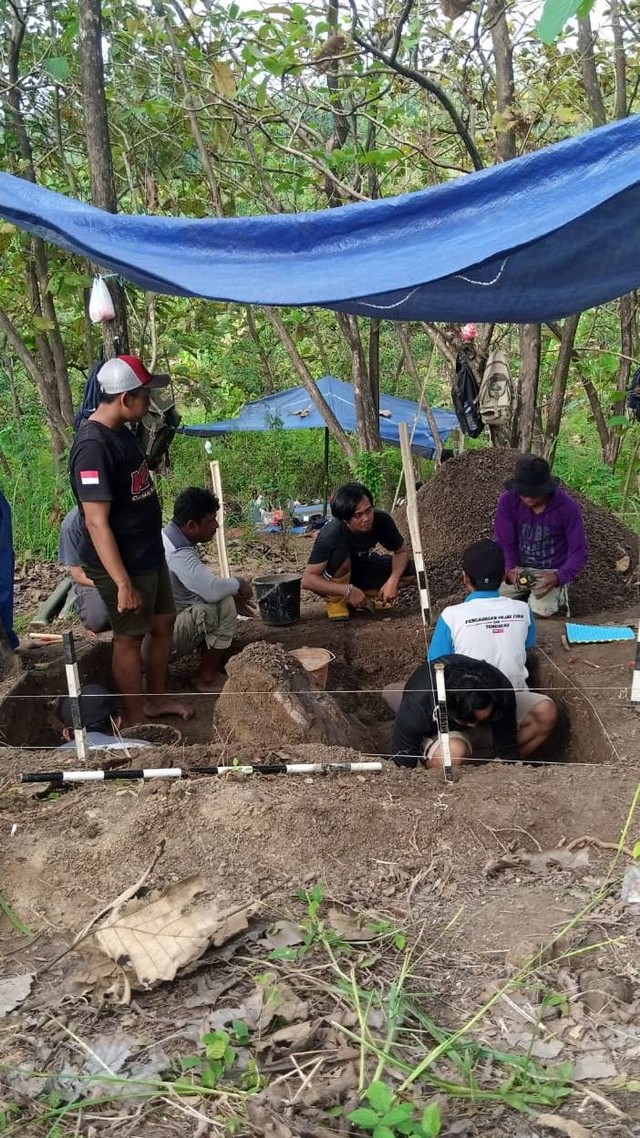 Fosil Purba Berusia Jutaan Tahun di Sumedang Ditemukan Petani saat ...