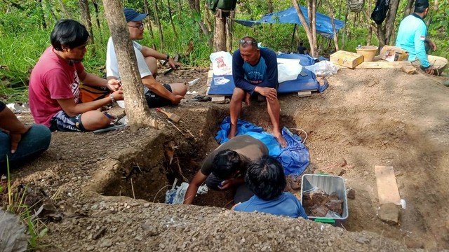 Fosil Purba Berusia Jutaan Tahun di Sumedang Ditemukan Petani saat ...