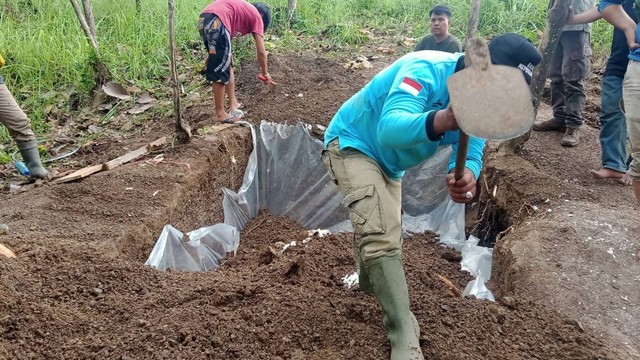 Fosil Purba Berusia Jutaan Tahun di Sumedang Ditemukan Petani saat ...