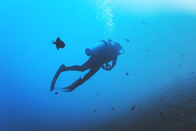 4 Tempat Diving di Bali untuk Pemula | kumparan.com